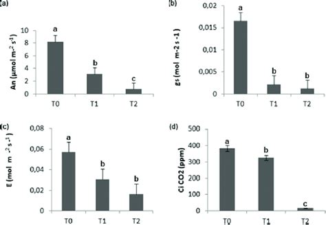 Leaf Physiological Traits Of Leaves Maintained Under Different
