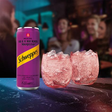 Schweppes Blueberry Mojito