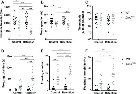 Dmd Mdx Rats Are Characterized By Early Locomotion Deficits 6 Weeks