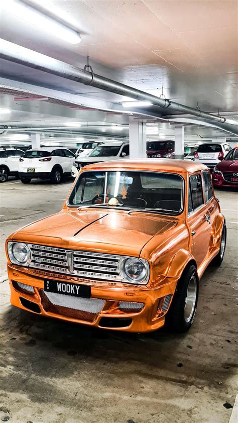 The Wooky That Roars Rmini