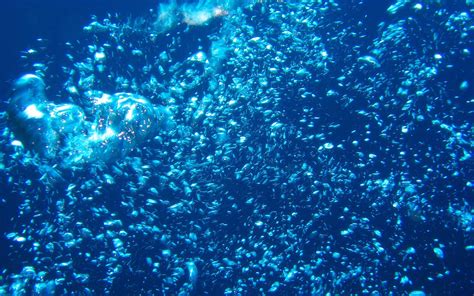 🔥 Free Download Underwater Bubbles Wallpaper By Mdillon93