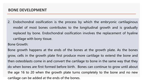 Bone Developmentpptx