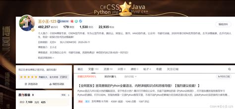 【csdn 年度总结】爱与被爱的双向奔赴——我与《ta》的点点滴滴 tacsdn csdn博客