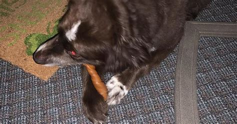 My Friend Melbec Album On Imgur