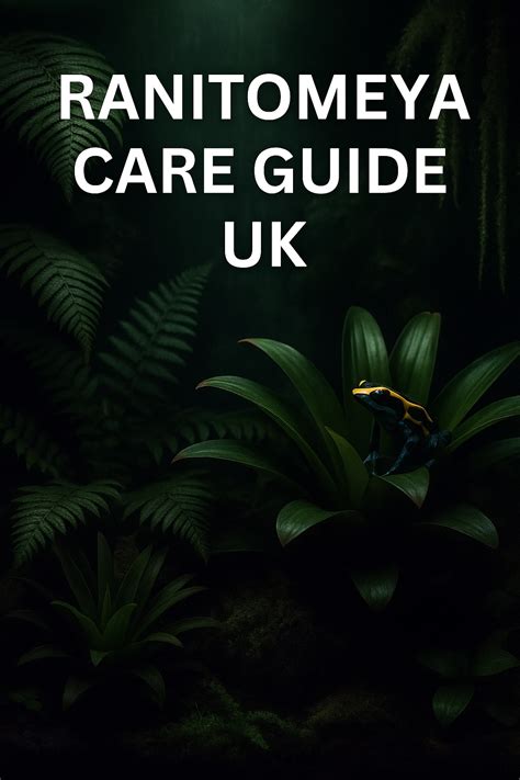 Ranitomeya Care Guide Climbing Dart Frogs For Uk Keepers Frogfather