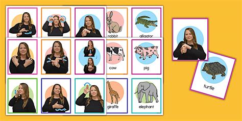 Asl Animals Matching Cards Teacher Made Twinkl