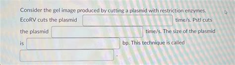 Consider The Gel Image Produced By Cutting A Plasmid