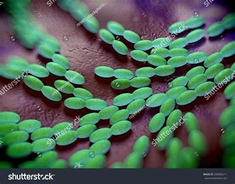 3d Rendering Acetobacter Bacteria Stock Illustration 640989211