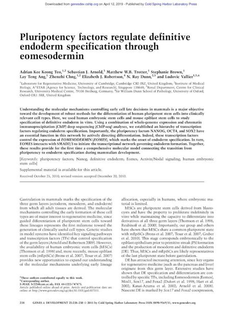 Pdf Pluripotency Factors Regulate Definitive Endoderm Specification