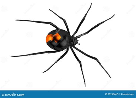 3d Render Of Latrodectus Hasselti Royalty Free Stock Image 40072246