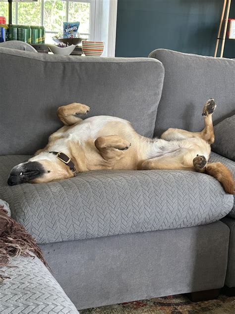 Colby Living His Best Life Rtoolps