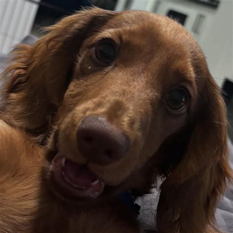 Riley Locker Lockerrileymusic • Instagram Photos And Videos