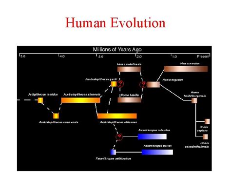 bioinformatics pattern recognition multivariate statistics patterns some are