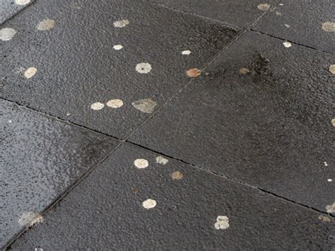 Se Siguen Quitando Chicles Del Piso Del Centro Histórico