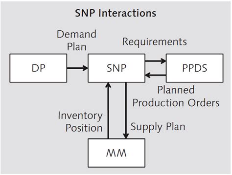 Introduction To Sap Apo Snp Brightwork Research And Analysis