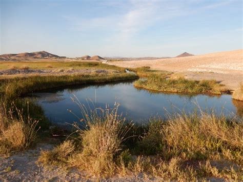 베스트 Tecopa 캠핑장 추천 Tripadvisor