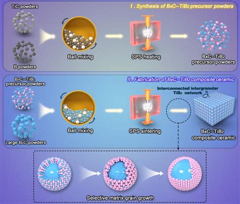 Schematic Diagram Of The Prepa [image] Eurekalert Science News Releases
