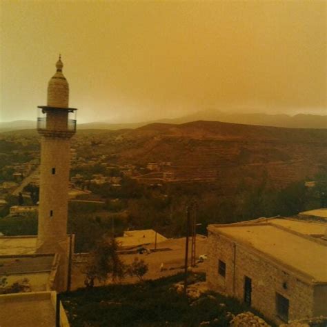 بيت تيما المستقبل