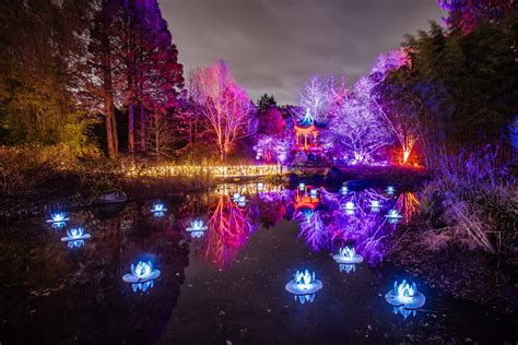 Funkelnder Lichtzauber Im Loki Schmidt Garten Mopo