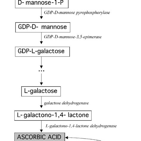 Total Ascorbic Acid Ascorbic Acid And Dehydroascorbic Acid Contents In