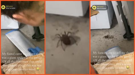 ‘this Would Send Me To The Grave Woman Freaks Out And Kills Giant Spider In Her Garage But