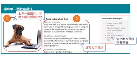 【收藏】亚马逊listing不知道怎么写？？看完此篇，即刻破单！ 知乎