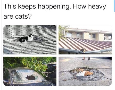 🔃 Correlation Causation Fallacy By Ayush 🙏