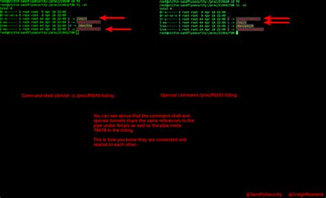 Detecting And Investigating Openssl Backdoors On Linux