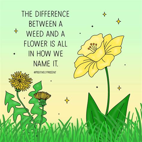 110 Short Flower Quotes To Inspire Your Love Of Beauty Louisem