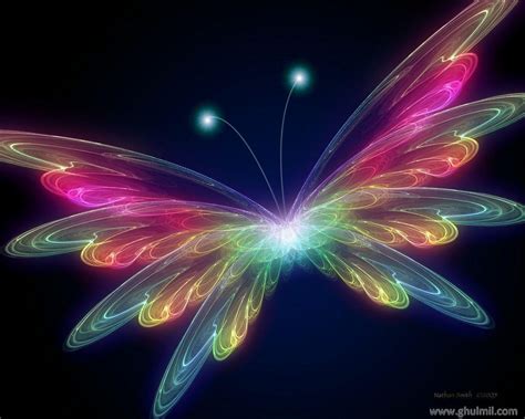 Animated Butterfly Wallpapers Top Free Animated Butterfly Backgrounds
