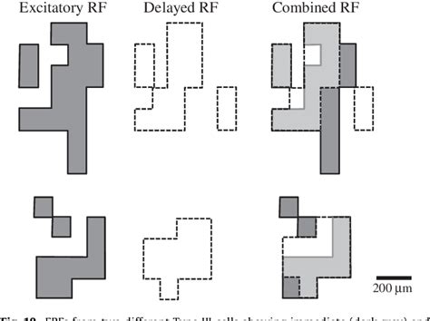 Figure 10 From Simultaneous Recording Of Mouse Retinal Ganglion Cells During Epiretinal Or