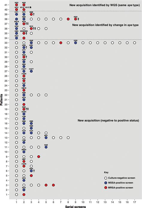Sampling Histories Of 41 Patients Who Acquired Staphylococcus Aureus Download Scientific