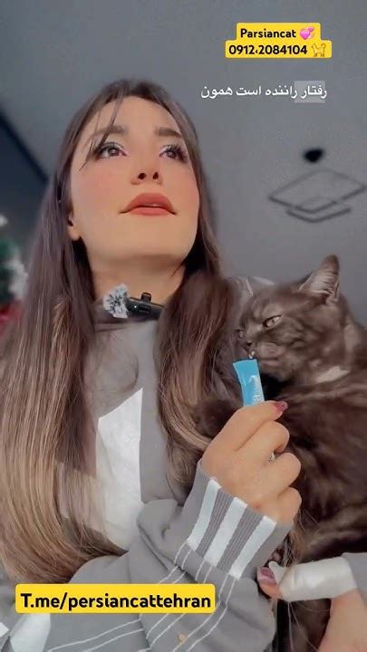 به نظر شما گزینه همراه حیوان خانگی آیتم خوبیه در اسنپ و تپسی ؟ و چقدر خوبه فرهنگ سازی بشه