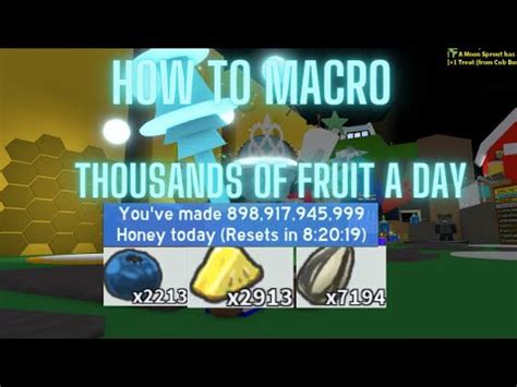 How To Macro Bee Swarm Simulator YouTube