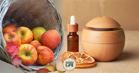 Apple Orchard Diffusion California Herban Life