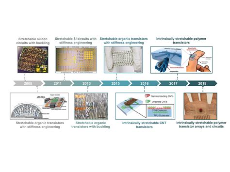 Stretchable Transistors And Functional Circuits For Human Integrated