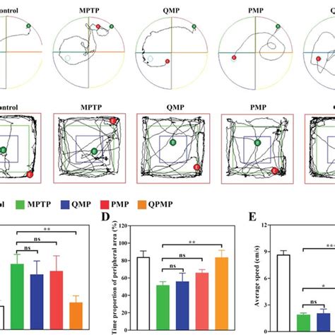 Behavioral Assessment Of Pd Mice After Treatments A Morris Water Maze