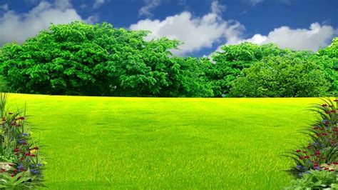Relax And Enjoy 4k Nature Background Video The Beauty Of Nature