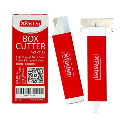 Box Cutter Bugs At Rafael Gilliam Blog