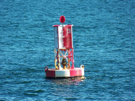 Más De 600 Fotos De Buoy Y Boya Gratis Pixabay