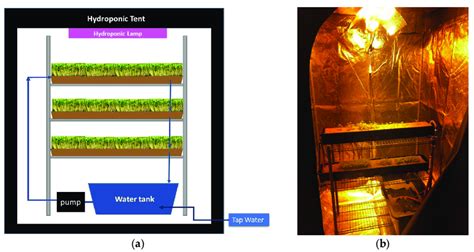 A Schematic Representation And B Photograph Of The Diy Hydroponic