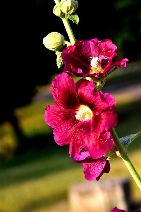 Goran Vojinovic Posted On Linkedin