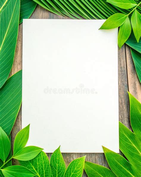 Minimalist Border Design With Paper Texture And Electric Greens Palette