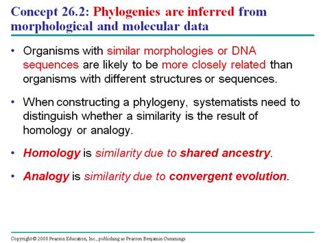 What We Can And Cannot Learn From Phylogenetic Trees