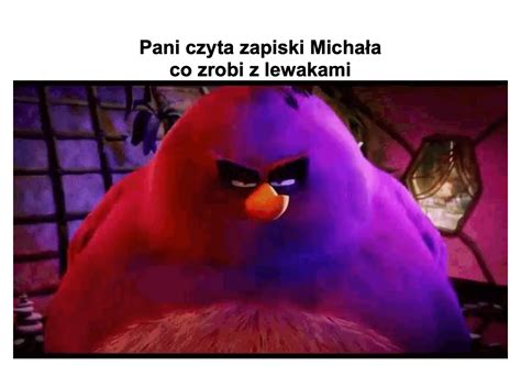 Angry Bird Memes