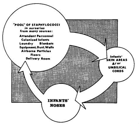 Staphylococcal Colonization In Newborn Infants With And Without