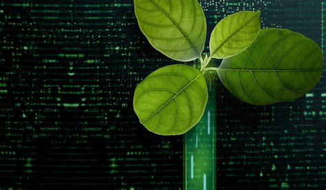 Semiconductor Sustainability Paving The Way For A Greener Technology