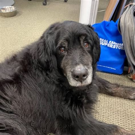 Luixia Lulul33 • Threads Say More