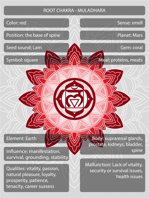 Root Chakra The First Chakra