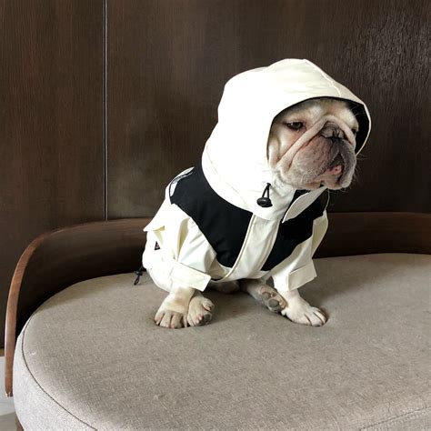 屎哼哼家定制法斗衣服柯基英斗八哥恶霸泰迪胖狗热多色防风衣虎窝淘